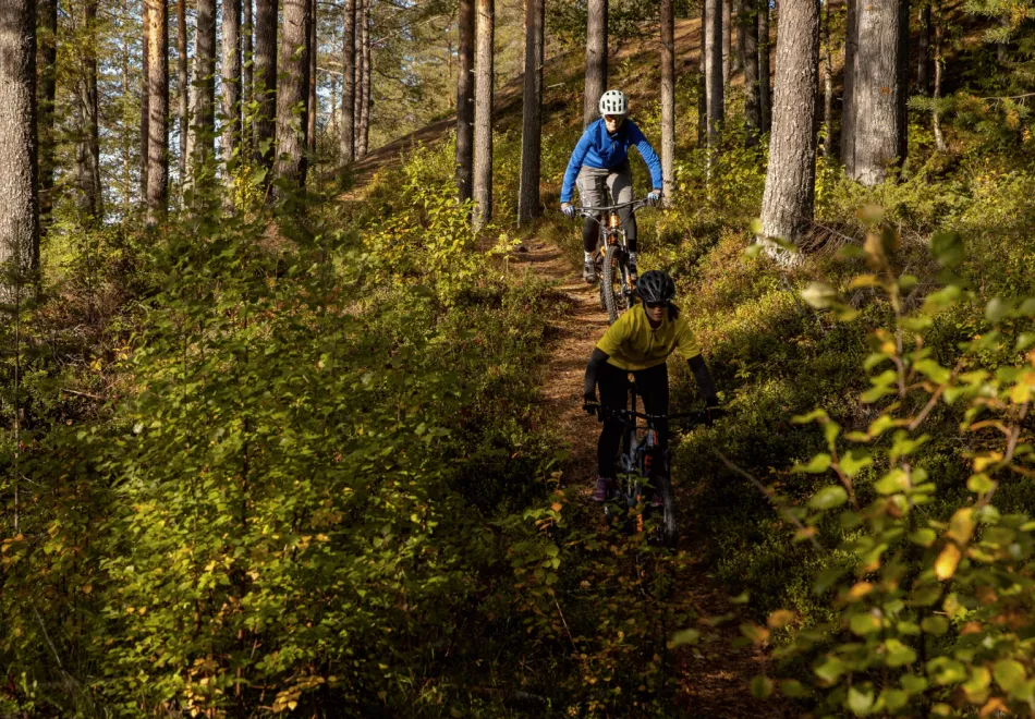 Cycle Tavelsjöleden | Visit Umeå